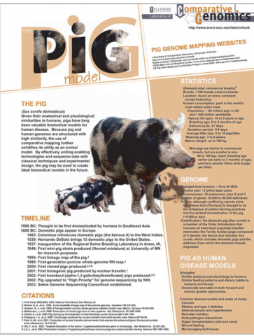 The Pig Model Comparative Genomics